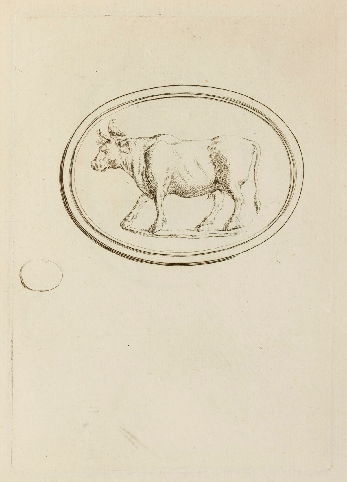 A bull | Works of Art | RA Collection | Royal Academy of Arts